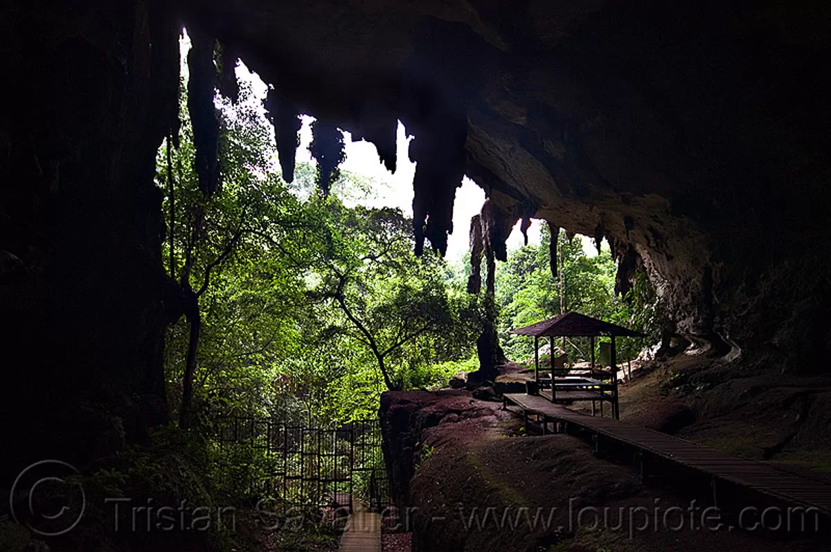 gua niah, natural cave, borneo