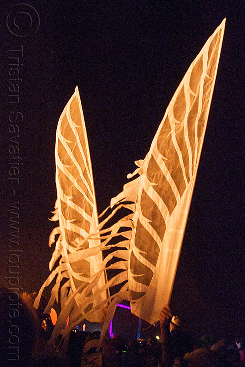 angel wings at night