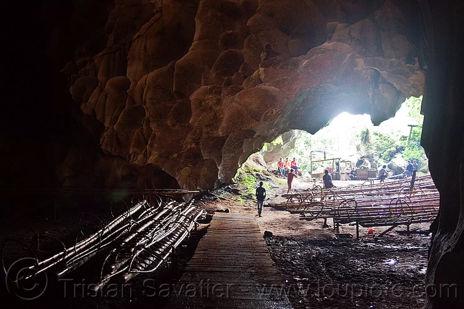 bamboo ladders of bird's nests collectors, gua madai, madai cave, borneo