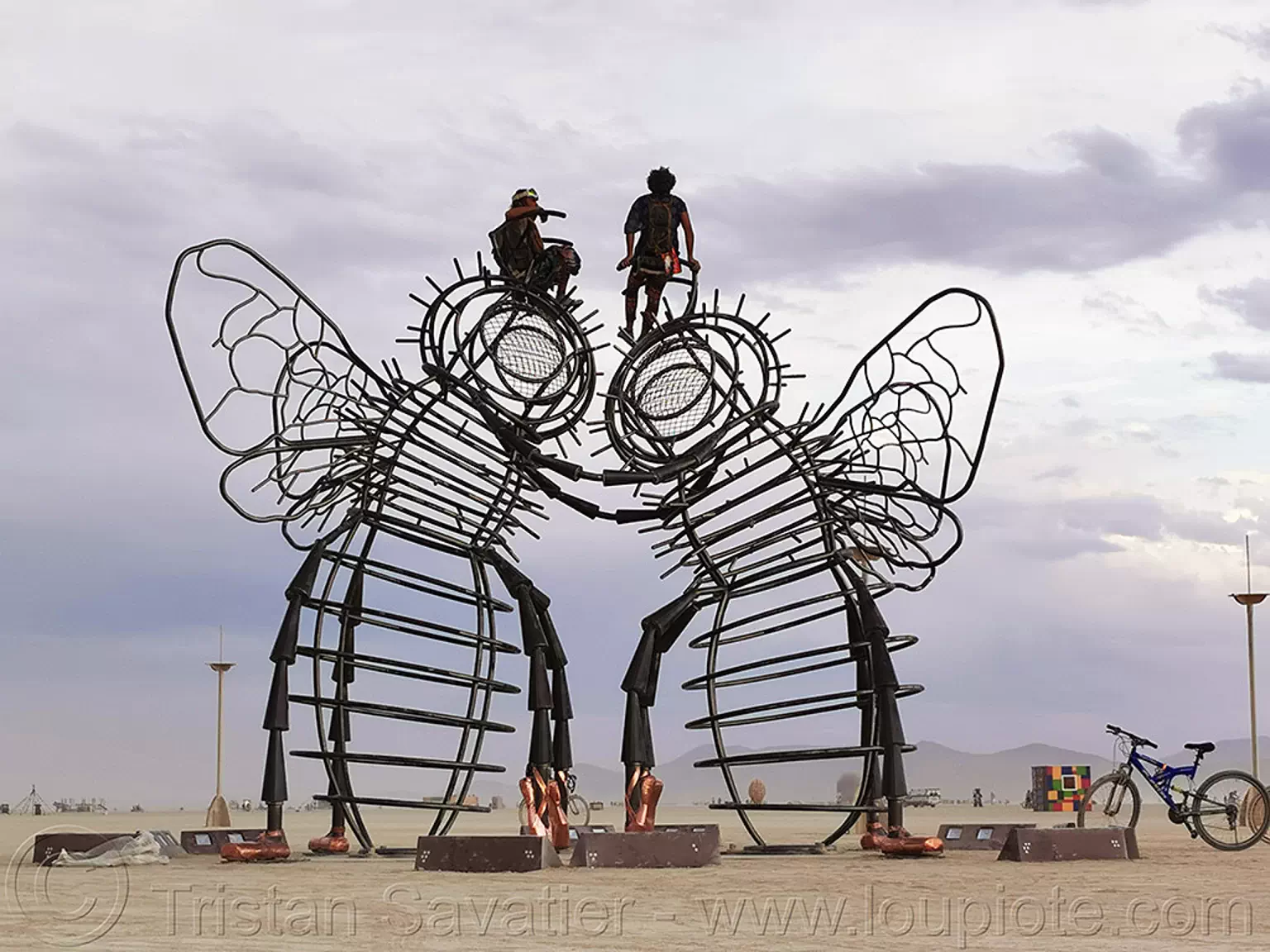 Bee Dance Burning Man 2019