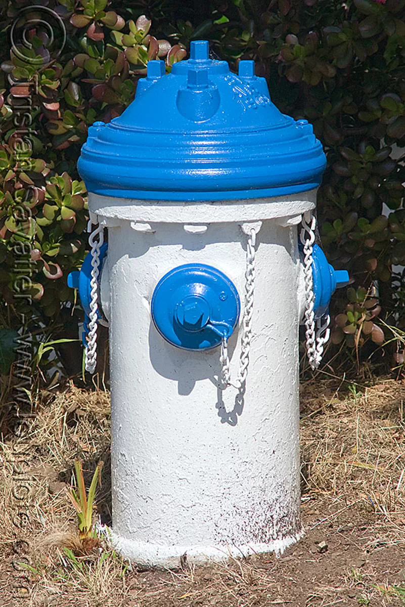 blue and white fire hydrant, san francisco