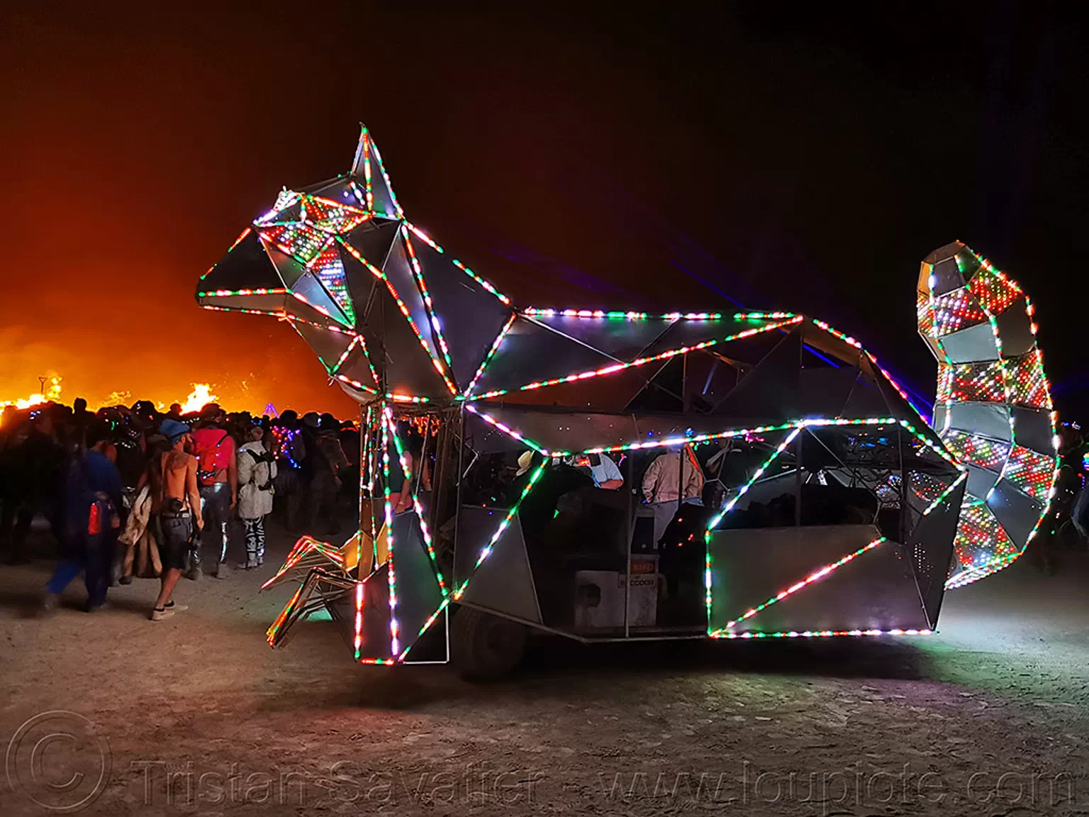 burning man, cat art car