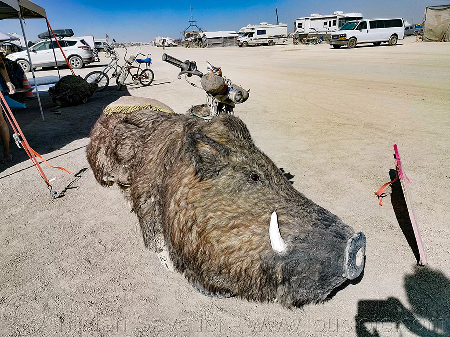 burning man, wild hog art car