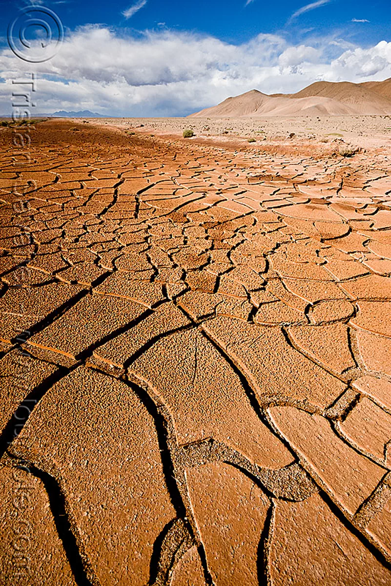 cracked mud, desert