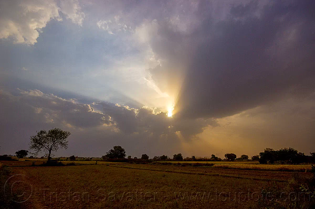 Sun Rays Through Field
