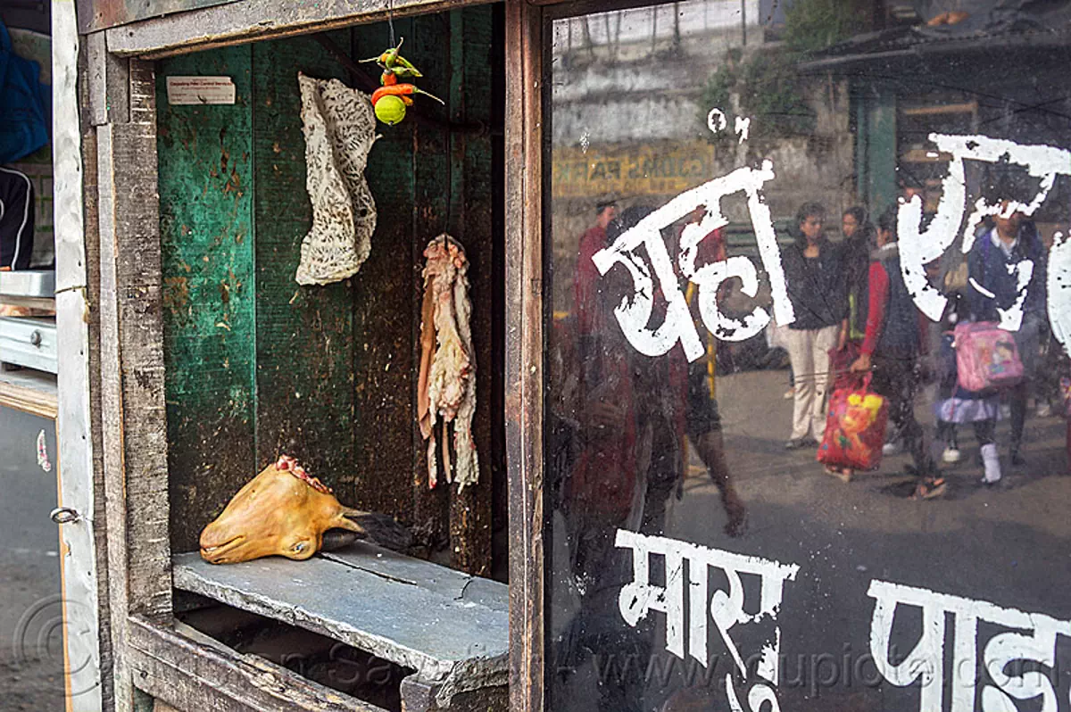 goat head, meat market, darjeeling, india