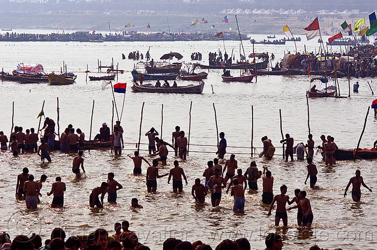 hindu pilgrims bathing in ganges river at sangam on paush purnima day ...