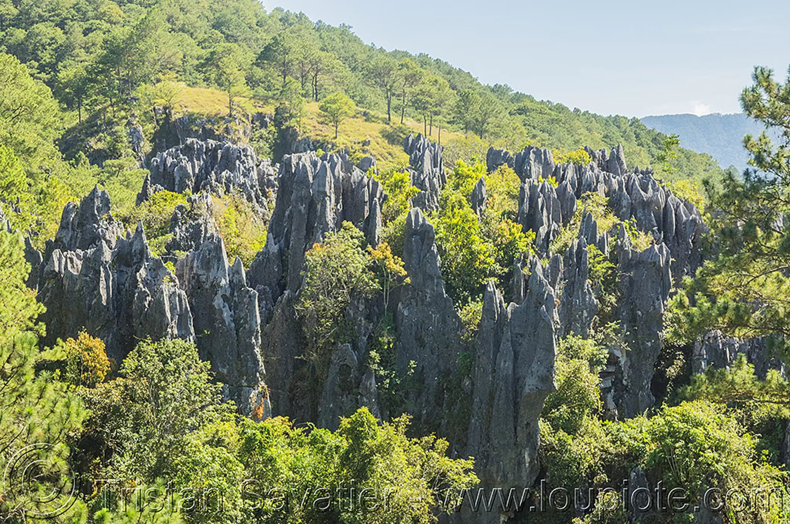 karstic pinnacles rock formations near sagada, philippines