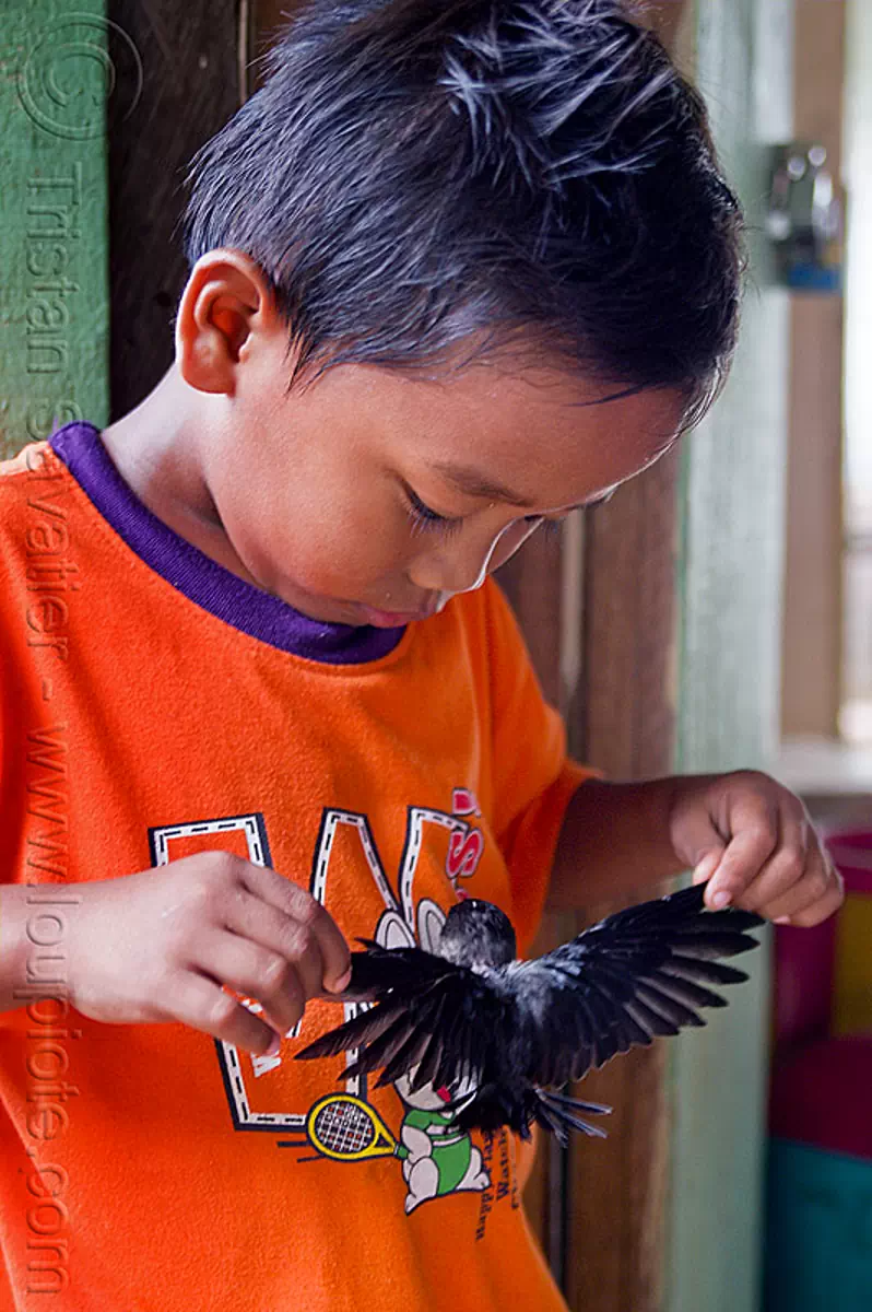 kid playing with baby bird