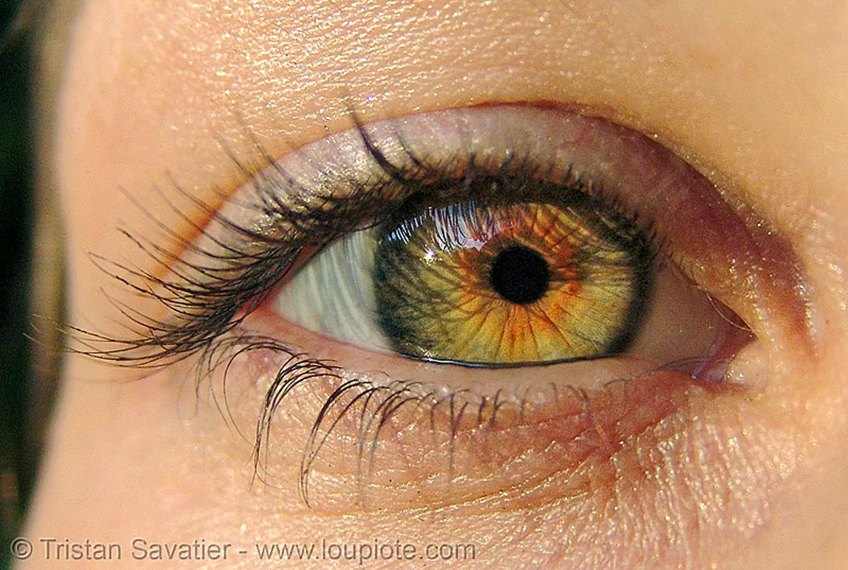 liza's eye with hazel / rusty iris