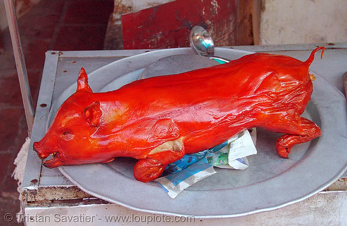 roasted piglet, vietnam