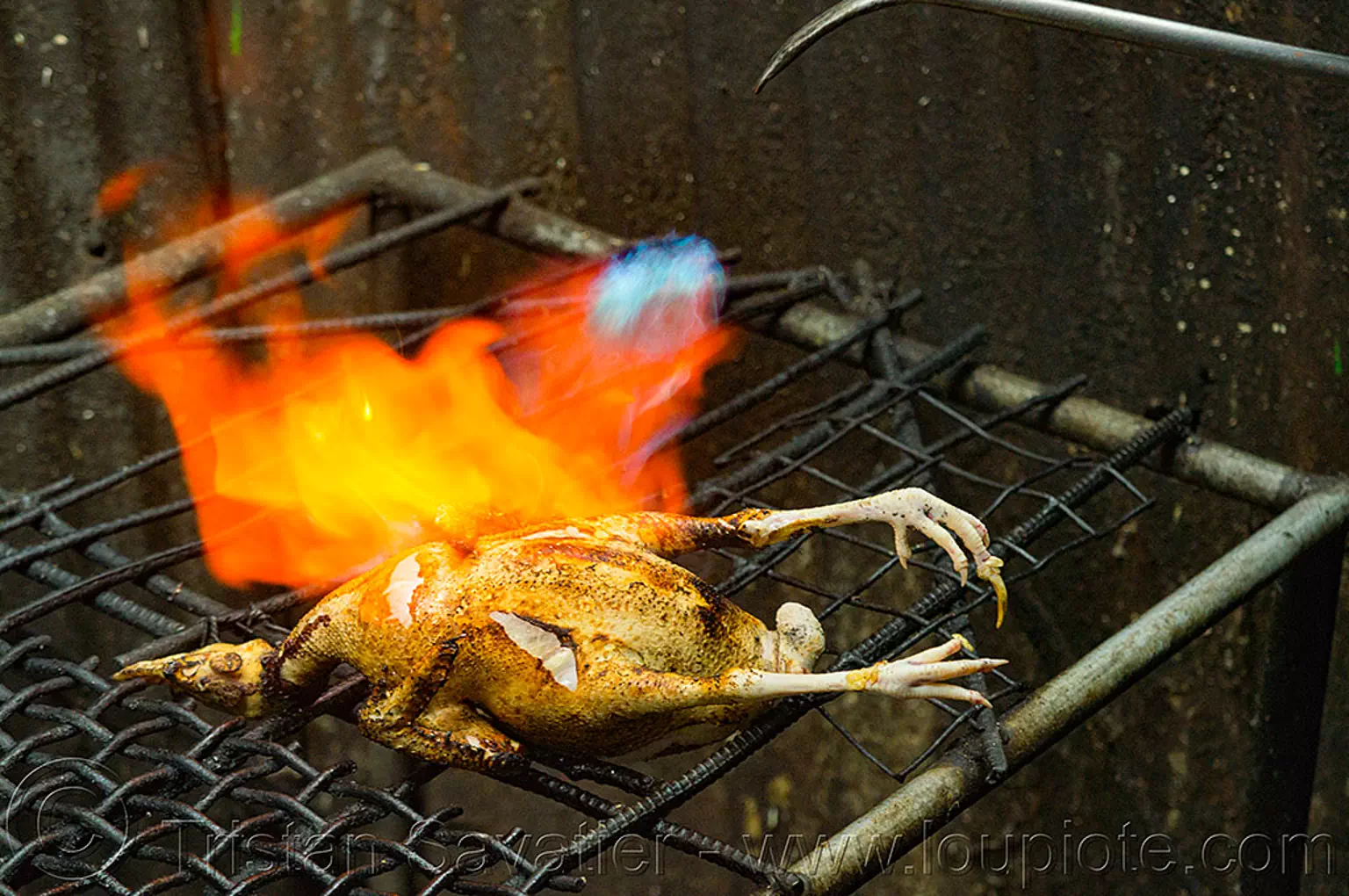 singeing chicken, preparing pinikpikan, philippines