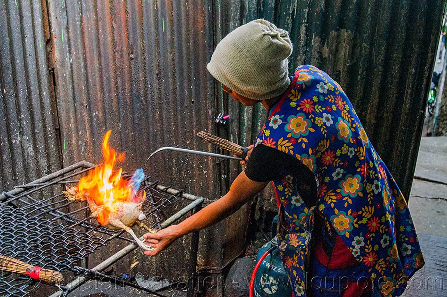 singeing chicken, preparing pinikpikan, philippines