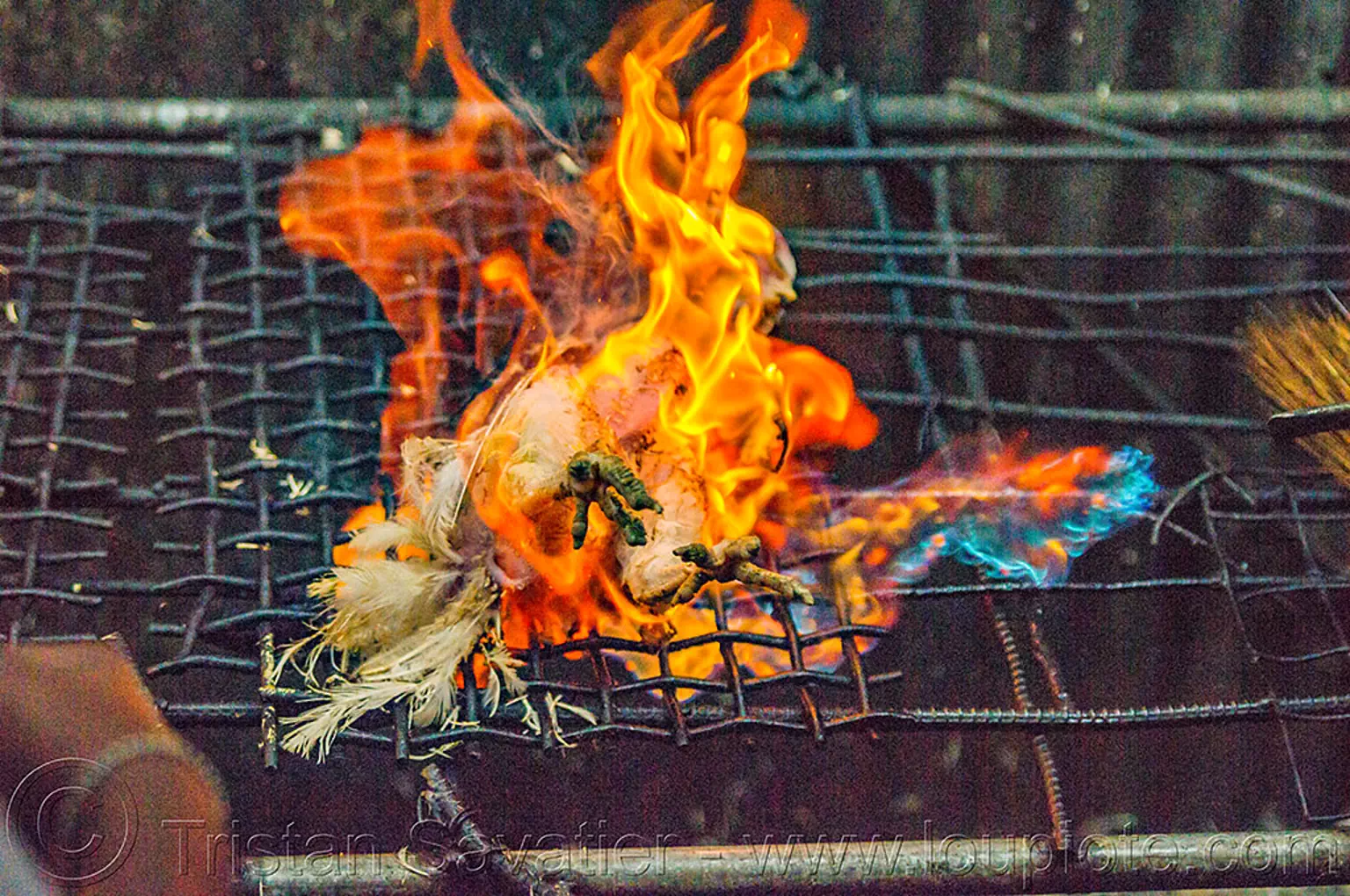 singeing chicken, preparing pinikpikan, philippines