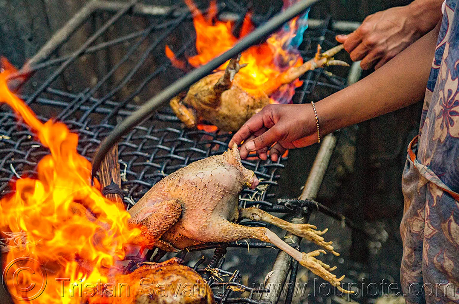 singeing chicken, preparing pinikpikan, philippines