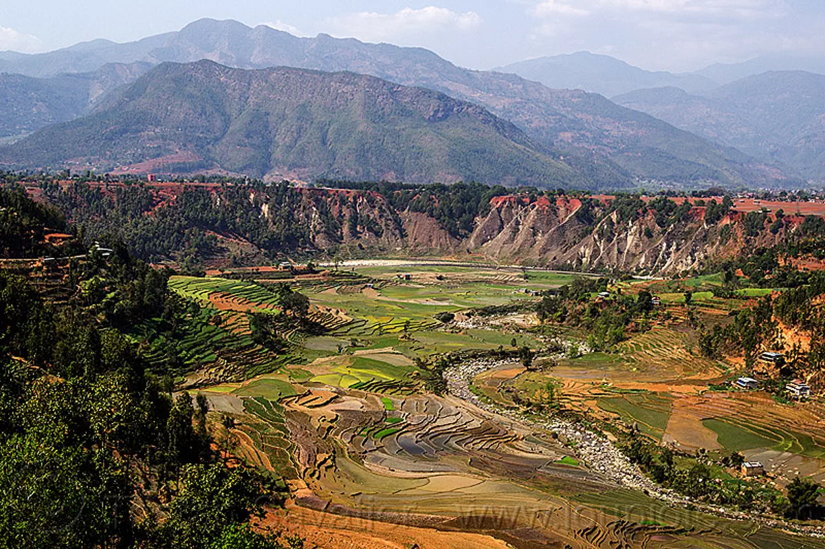 terrace farming landscape, nepal