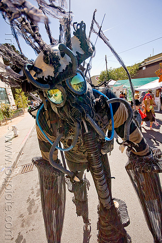 insect costume