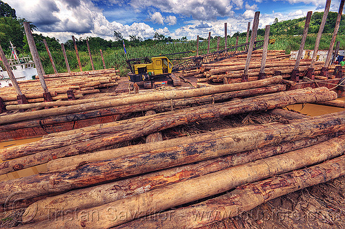 tree logs loaded on a logging barge
