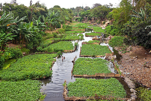 river agriculture
