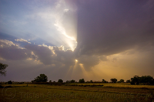 Sun Rays Through Field