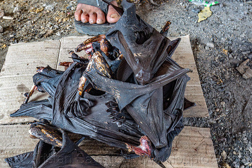 Singed Fruit Bats Wings at Meat Market