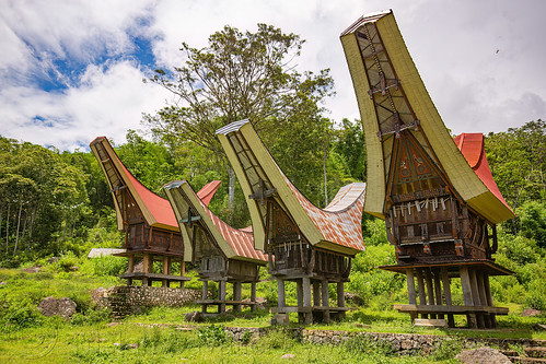 Toraja Rice-Barns with Traditional Tongkonan Roofs
