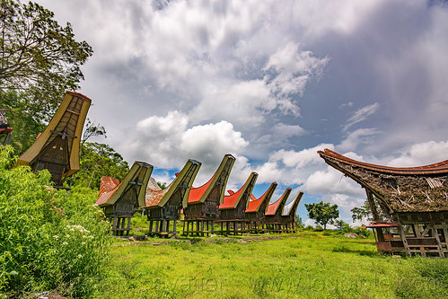 Toraja Tongkonan near Rock-Tombs