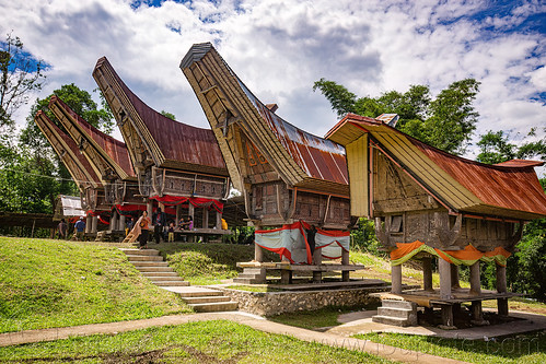 Toraja Rice-Barns with Traditional Tongkonan Roofs