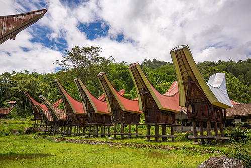 Toraja Rice Barns with Traditional Tongkonan Roofs