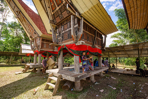 Toraja Rice-Barns with Traditional Tongkonan Roofs