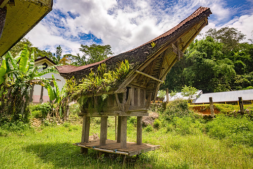 Row of Toraja Rice-Barns with Traditional Tongkonan Roofs